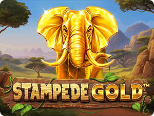 Lobby Jeux - Casino en Ligne Wild Sultan